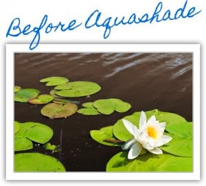 Aquashade® Dye